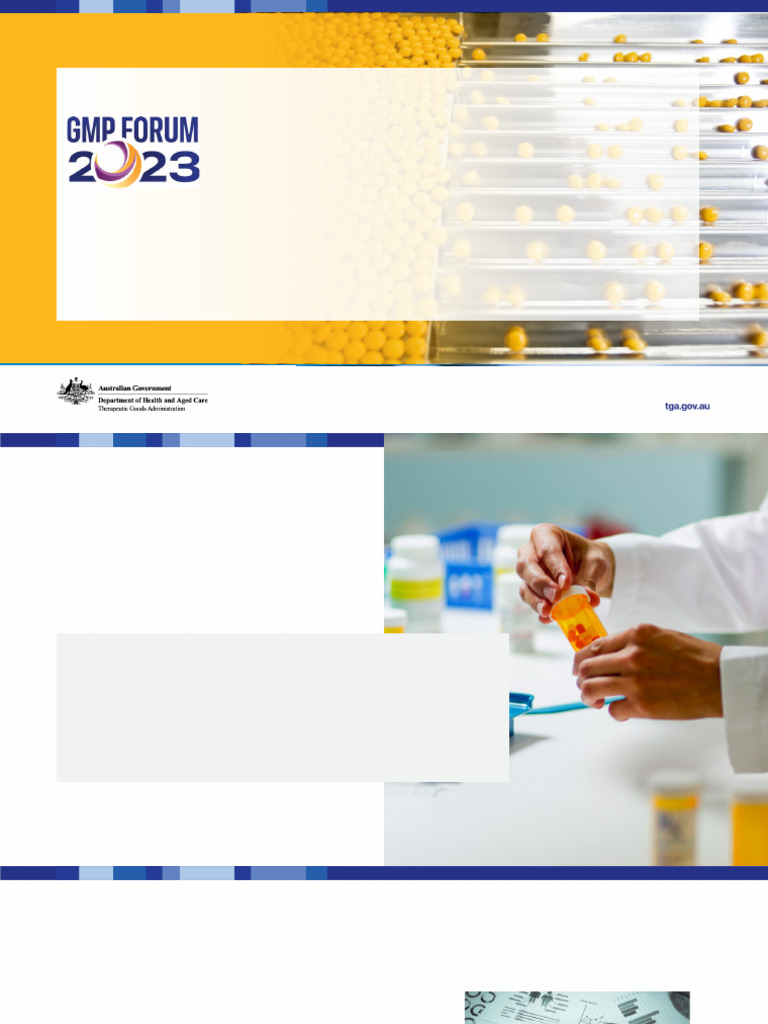 Presentation GMP Performing Detailed Investigations | PDF | Risk ...