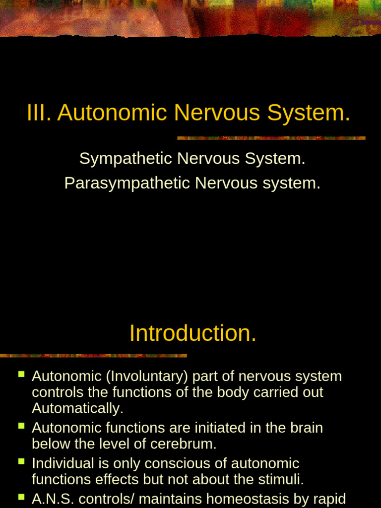 Ans Lecture 1 Pdf Autonomic Nervous System Human Anatomy