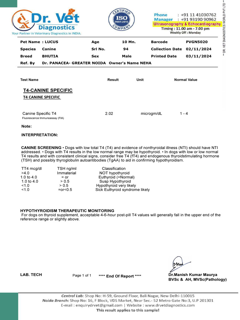 Lucus 10M M | PDF | Wellness