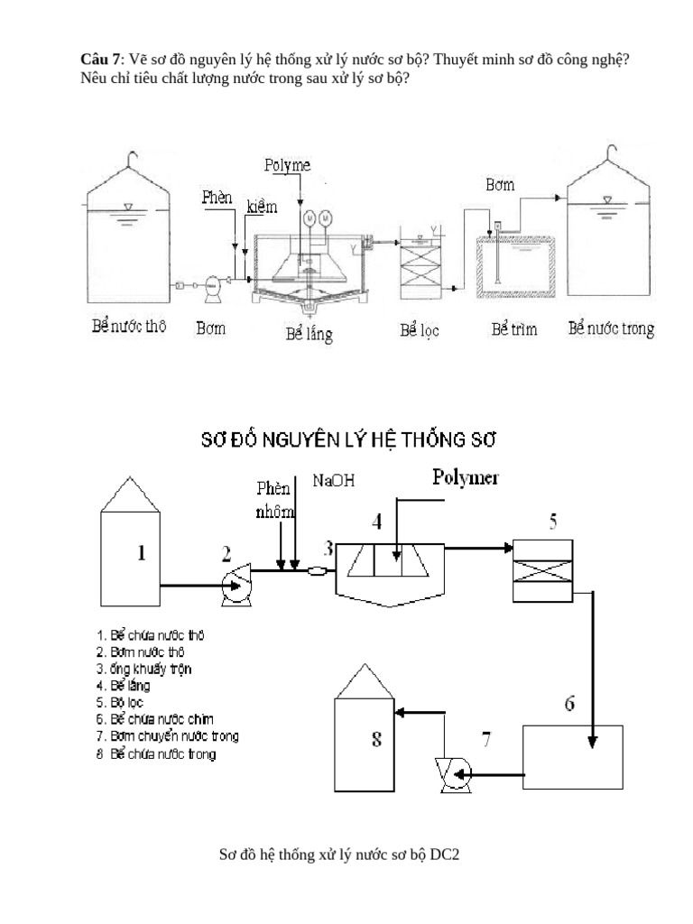 Dap An Cau 7 Hoa | PDF