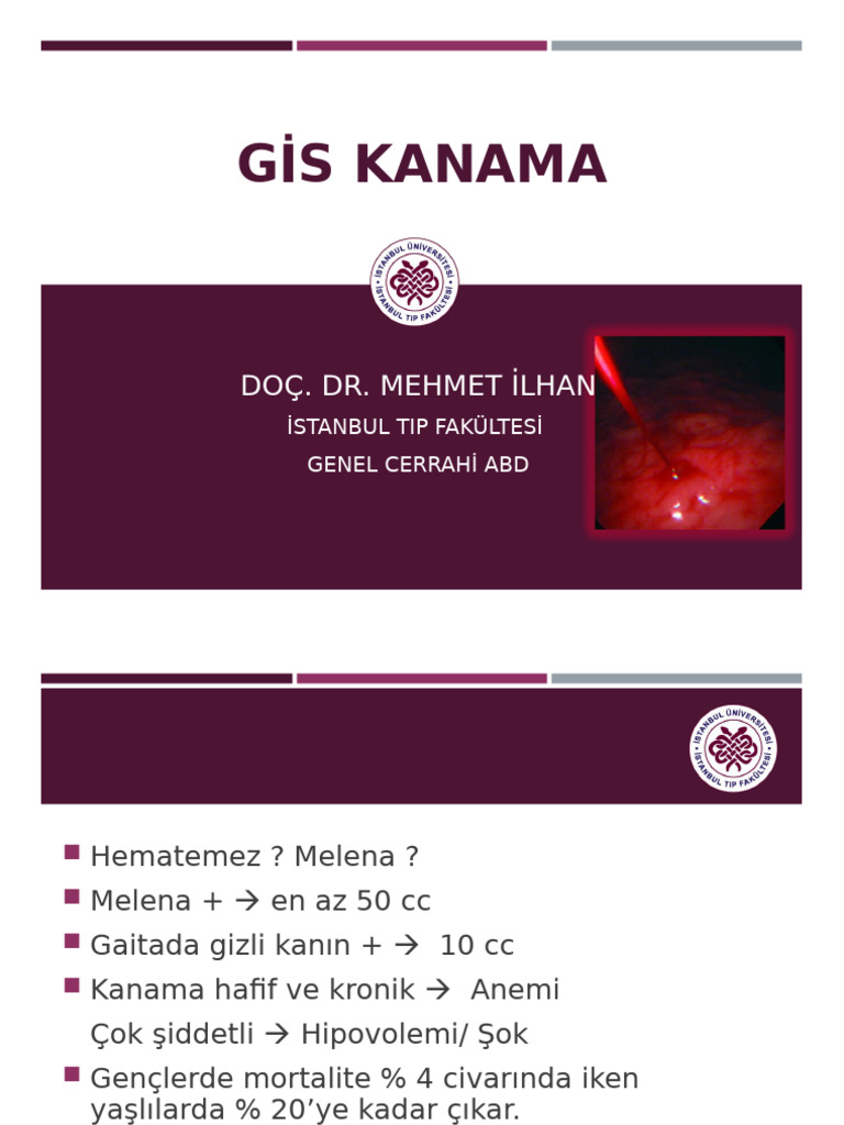 29 GIS Kanamaları | PDF