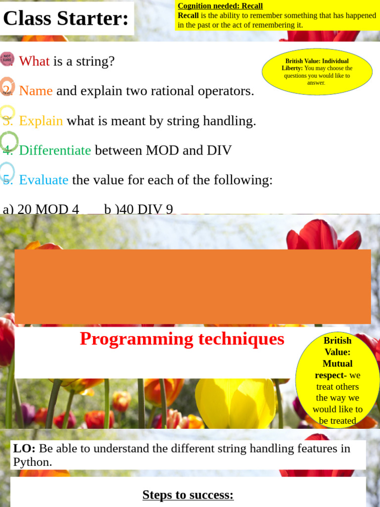 Lesson 4 String Handling Pdf String Computer Science Python Programming Language