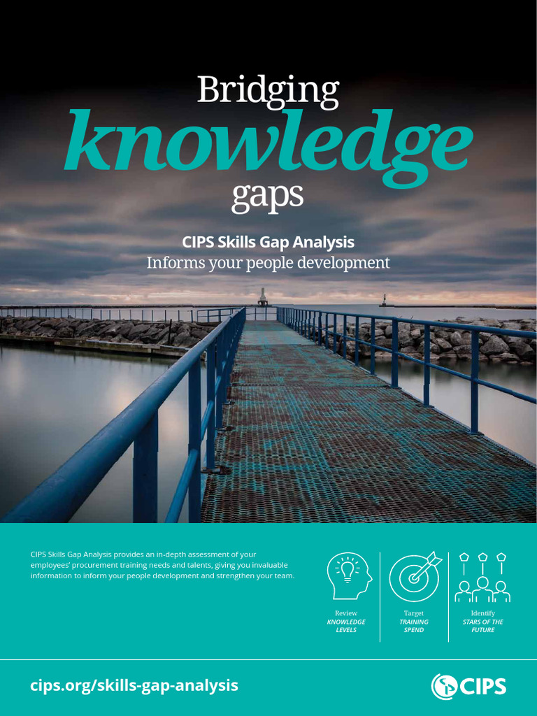CIPS Skills Gap Analysis Overview | PDF | Procurement | Economies