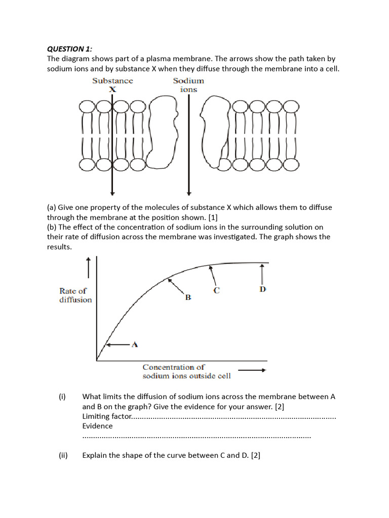 Worksheet 7 - Transport Through Cell Membrane | PDF | Teaching Methods ...