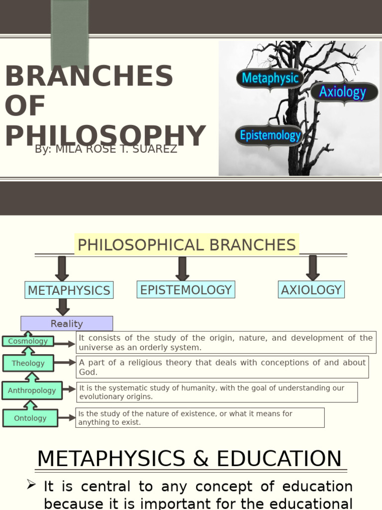 Branches of Philosophy | PDF | Metaphysics | Reality