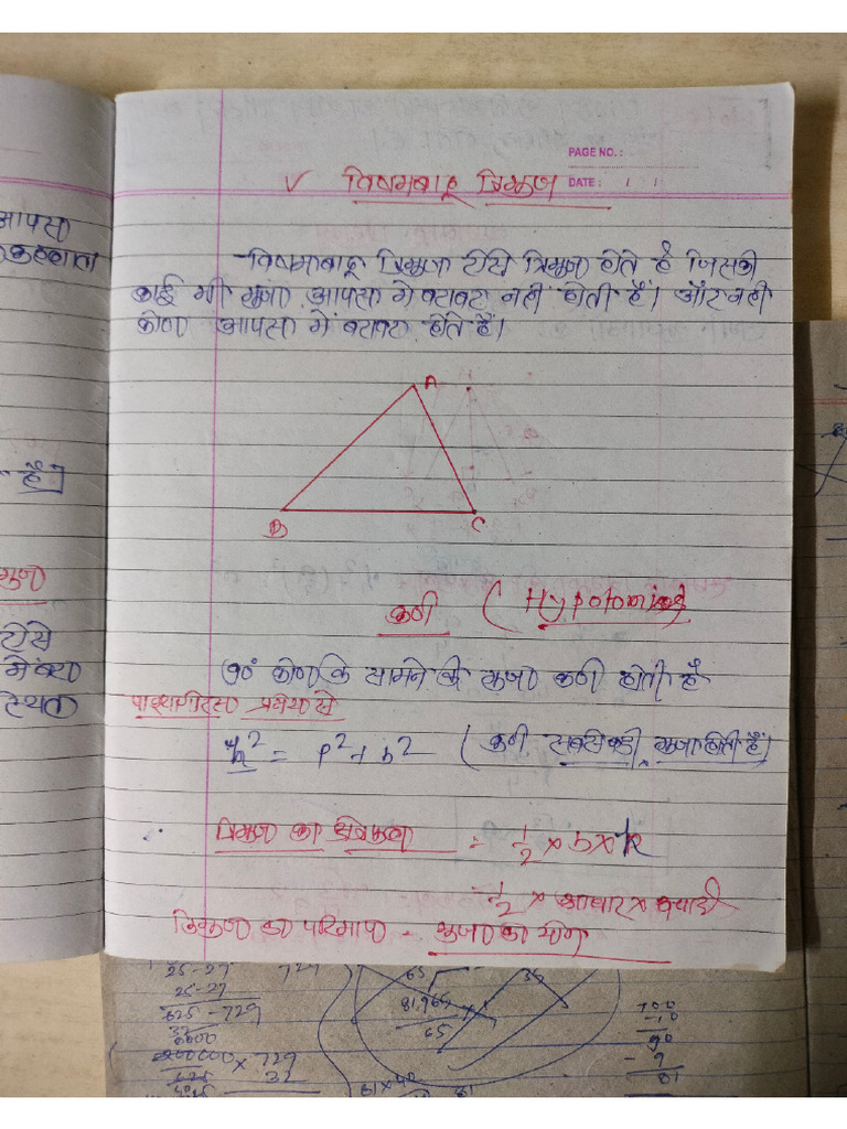 Visham Bahu Tribhuj | PDF