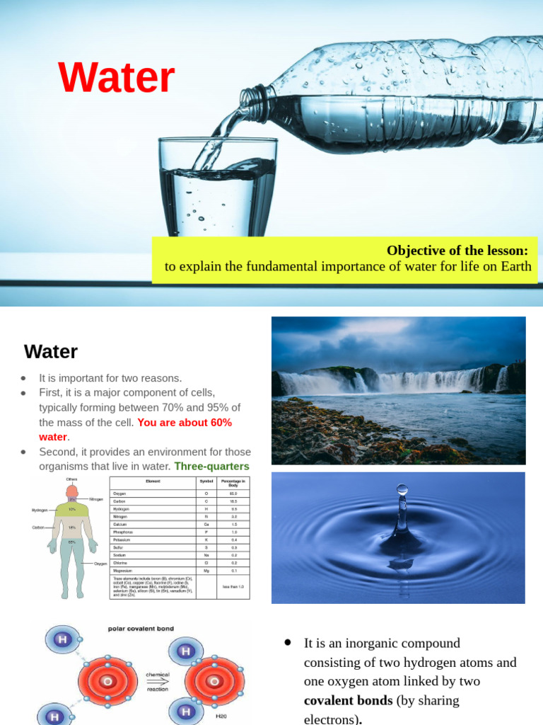 Importance of Water for Life on Earth | PDF | Water | Properties Of Water