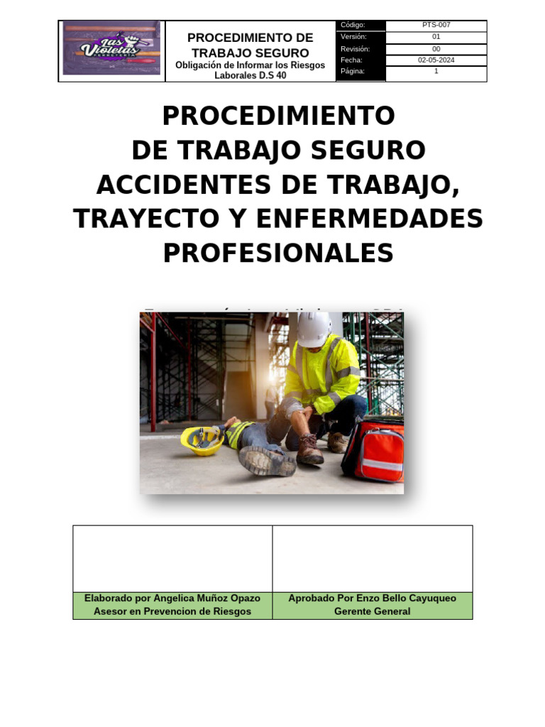 07 PTS Accidentes Ley 16.744 | PDF | Seguridad y salud ocupacional | La ...