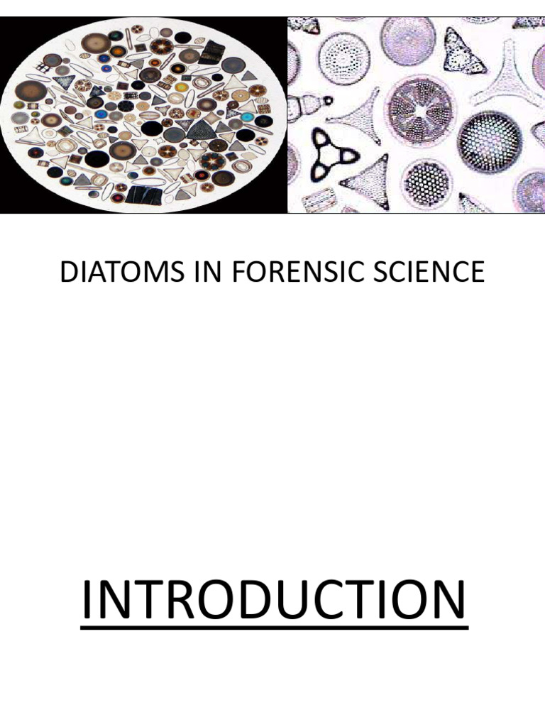 Diatoms in Forensic Science | PDF | Hydrogen Peroxide | Sulfuric Acid
