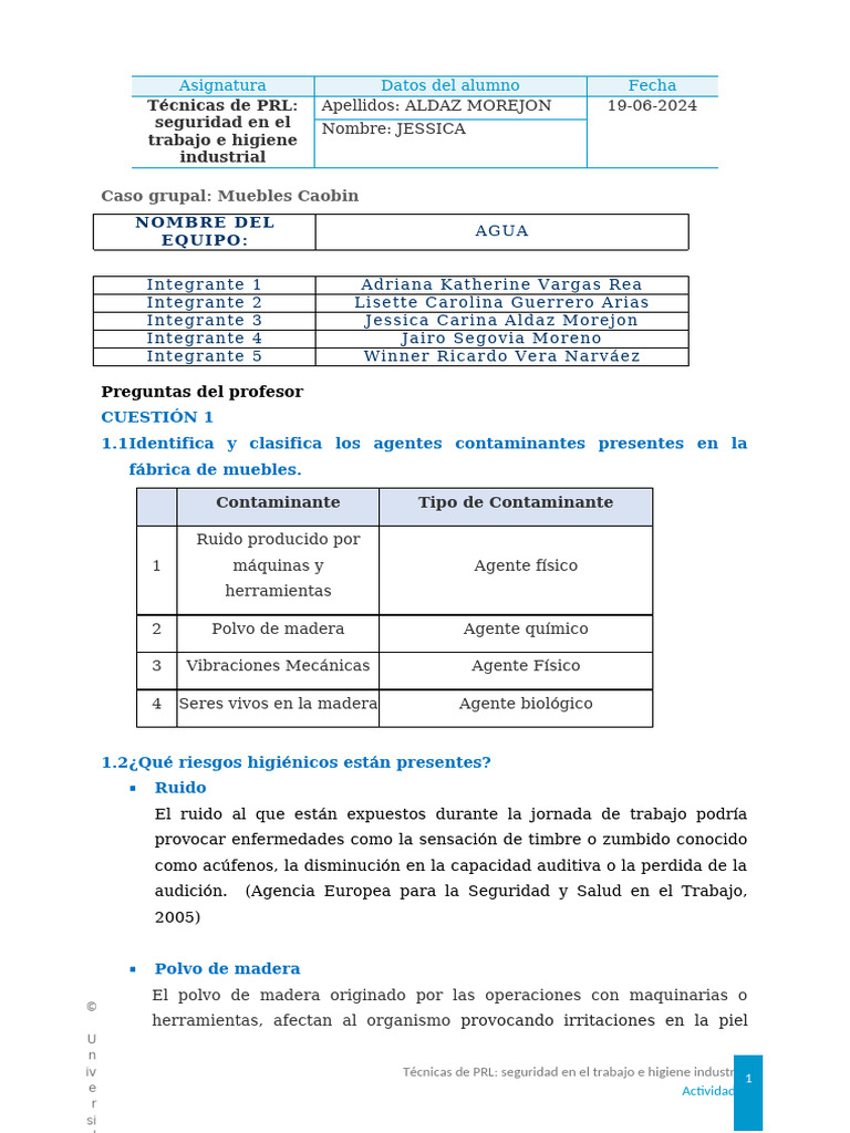 Evaluación de Riesgos en Muebles Caobin | PDF | ruido | Decibel