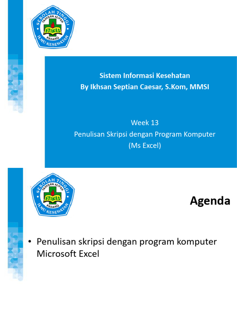 W14 - Penulisan Skripsi Dengan Program Ms Excel | PDF