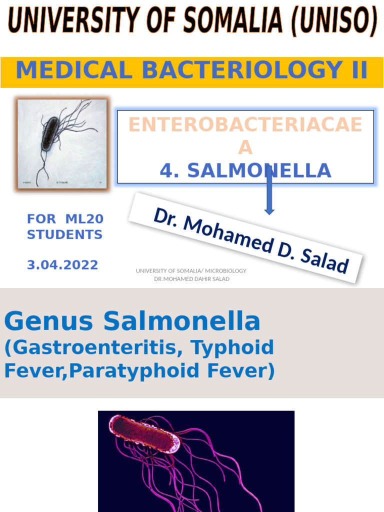 Salmonella | PDF | Salmonella | Serotype