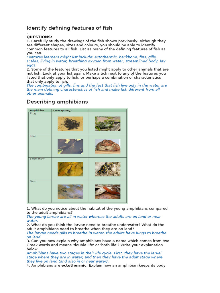 Grade 7 - BIo-BIodiversity - Worksheet 2 Answers | PDF | Amphibian | Fish