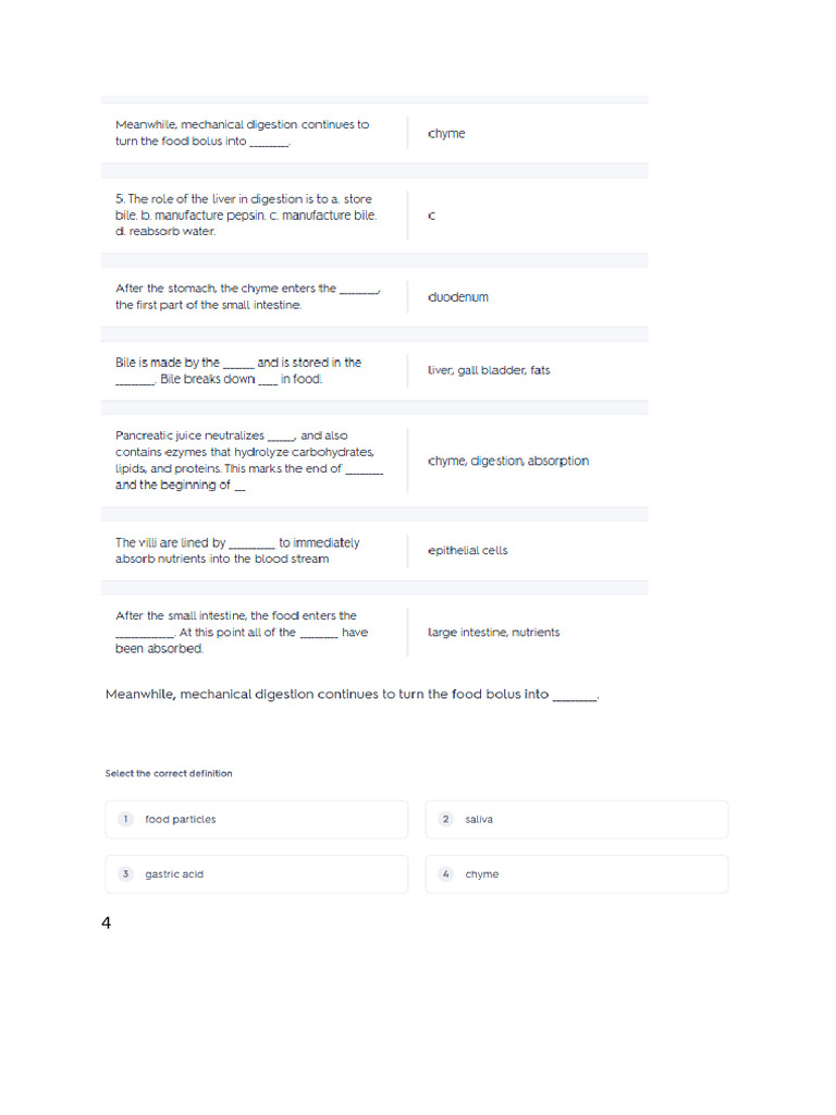 Digestive System Worksheet Answers | PDF | Human Digestive System | Stomach
