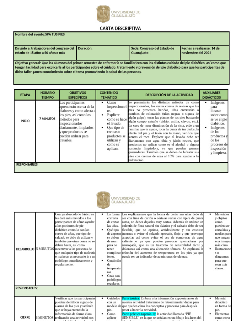 Carta Descriptiva | PDF | Diabetes | Clavo (anatomía)