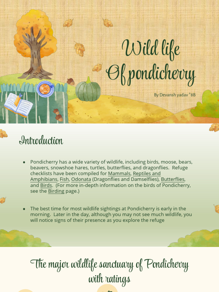 Wildlife of Pondicherry by Devansh Yadav | PDF | Wildlife | Organisms