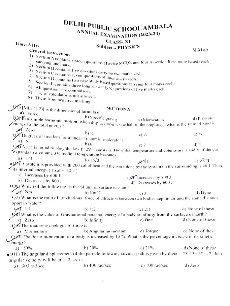 Dps School Annual Exam 2024 | PDF | Newton's Laws Of Motion | Mass