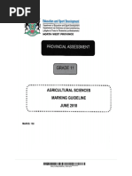 Life Science Grade 11 Term 3 Notes | PDF | Kidney | Urine