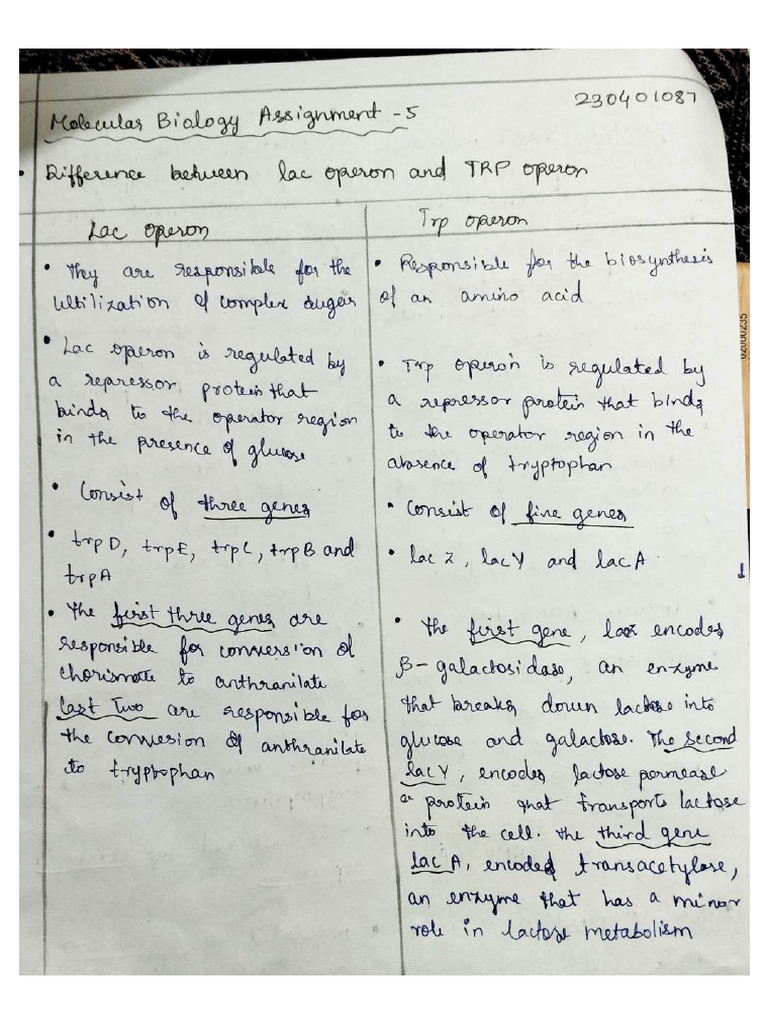 Molecular Genetics Assignment 5-Compressed | PDF
