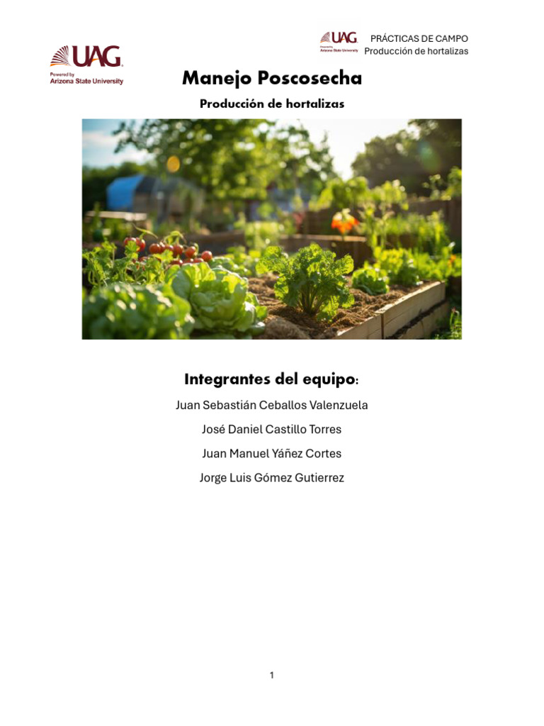 Manejo Poscosecha | PDF | Cosecha | Vegetales