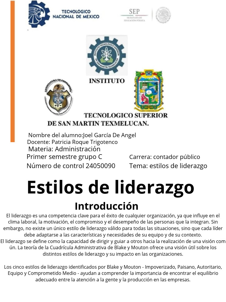 Estilos de Liderazgo de Joel García de Angel | PDF | Liderazgo | Business