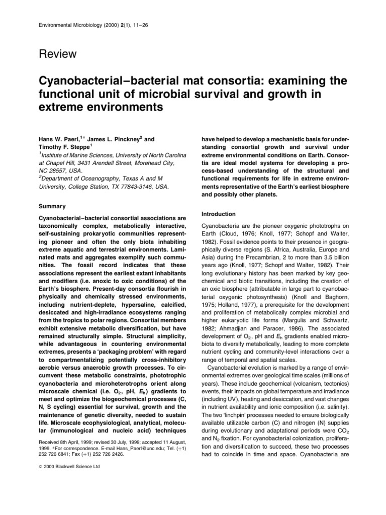 Cyanobacterial Bacterial Mat Consortia e | PDF | Cyanobacteria | Aquatic Ecology