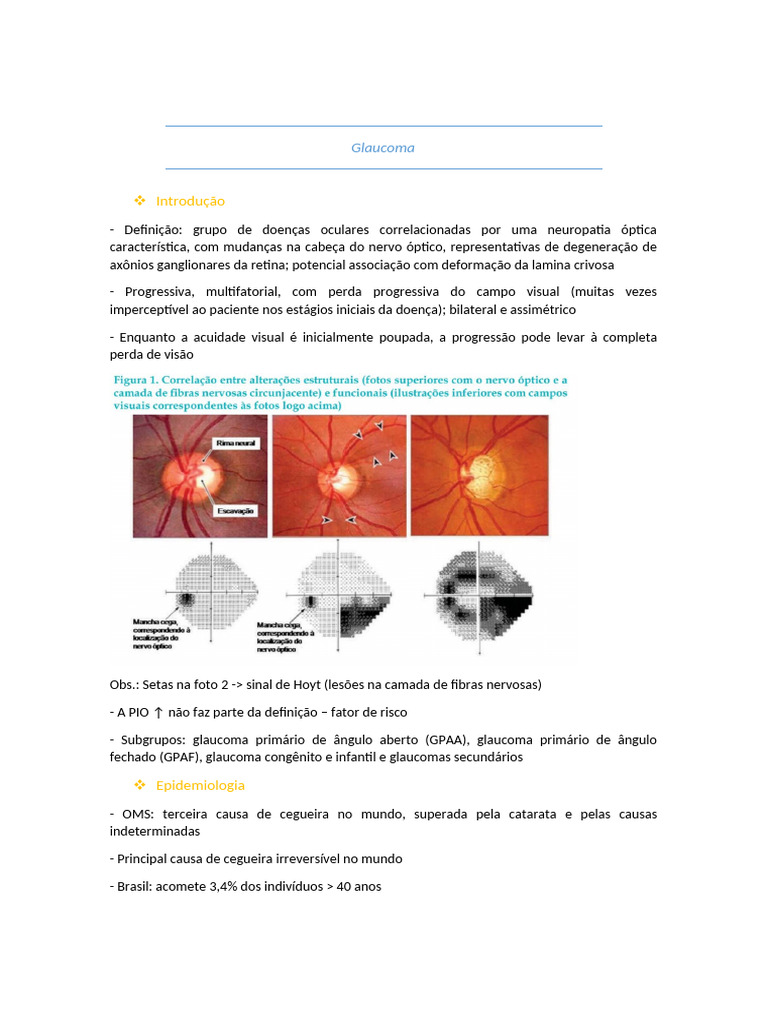 Glaucoma | PDF | Glaucoma | Sistema visual