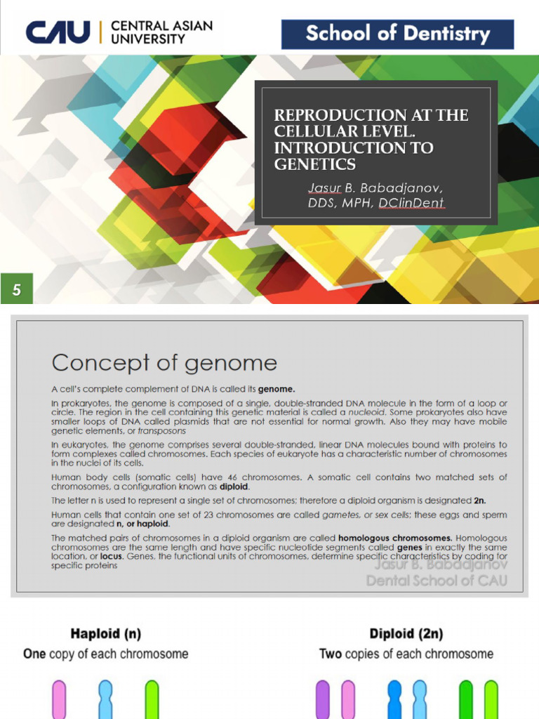 5 Reproduction at The Cellular Level Introduction To Genetics 2 | PDF