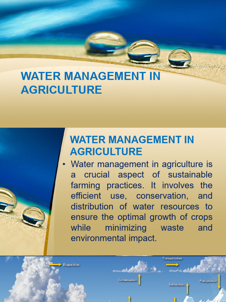 Water Management in Agriculture 2024 A | PDF | Irrigation | Agriculture