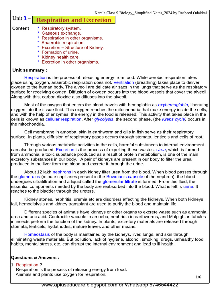 A+ Blog-Class-9-Biology-Chapter-3-Respiration and Excreation-Pdf Note ...