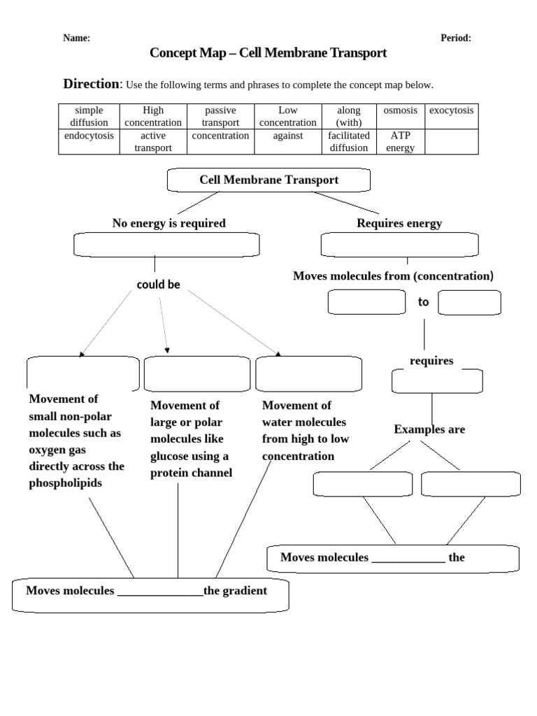 Cell Transport Concept Map | PDF
