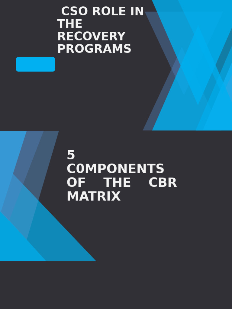 CADCC - CSO ROLE IN THE RECOVERY PROGRAMS. - DILGpptx | PDF ...