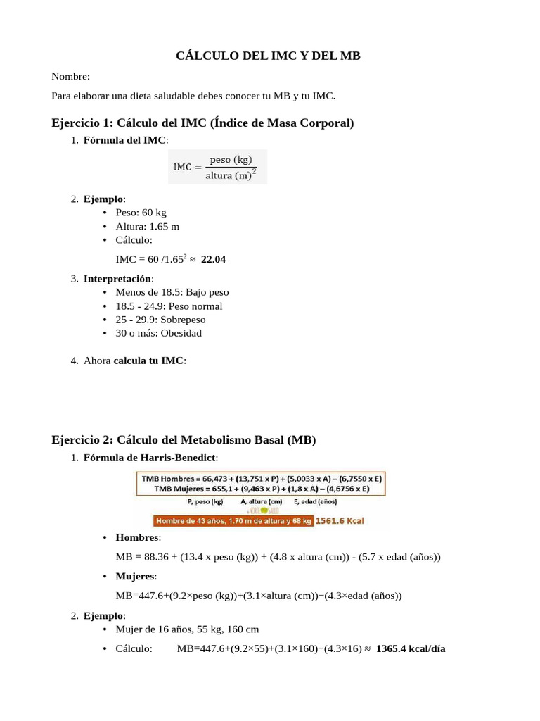 Cálculo IMC, MB para Elaborar Dieta Saludable | PDF
