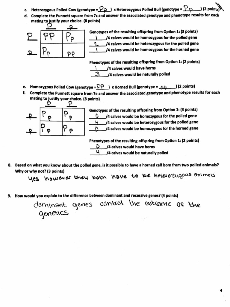 Dairy Genetics | PDF