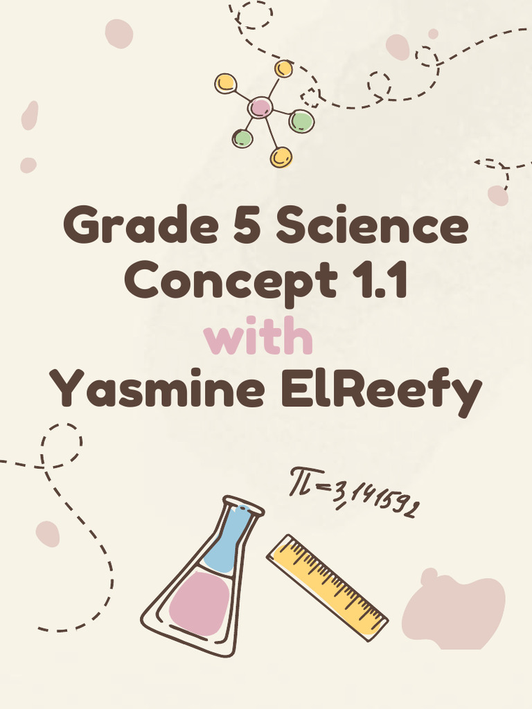 Gr5 Concept 1.1 Quiz | PDF | Plants | Leaf