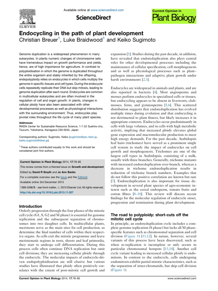 Endocycling's Role in Plant Growth | PDF | Cell Cycle | Mitosis