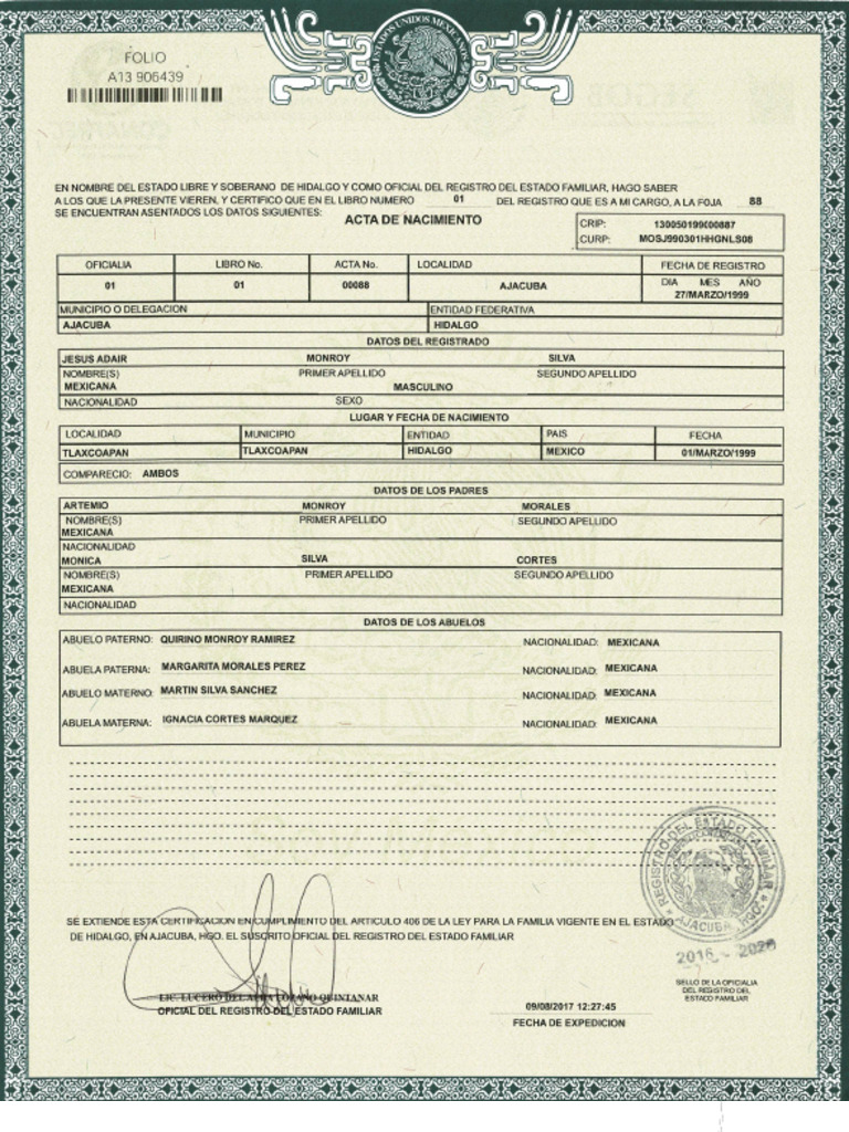 Monroy Silva Jesús Adair Ayudante Pintura - 241024 - 013607 | PDF | Gobierno | México