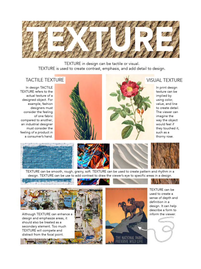 2 Acrobat Texture Handout | PDF | Somatosensory System