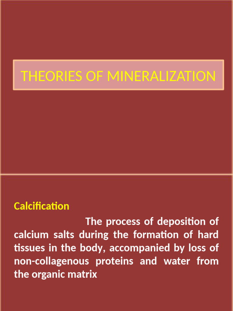 Theories of Mineralisation | PDF | Osteoblast | Bone