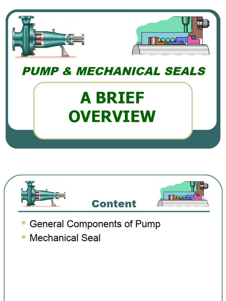 Pump & Mechanical Seals | PDF | Pump | Mechanical Engineering