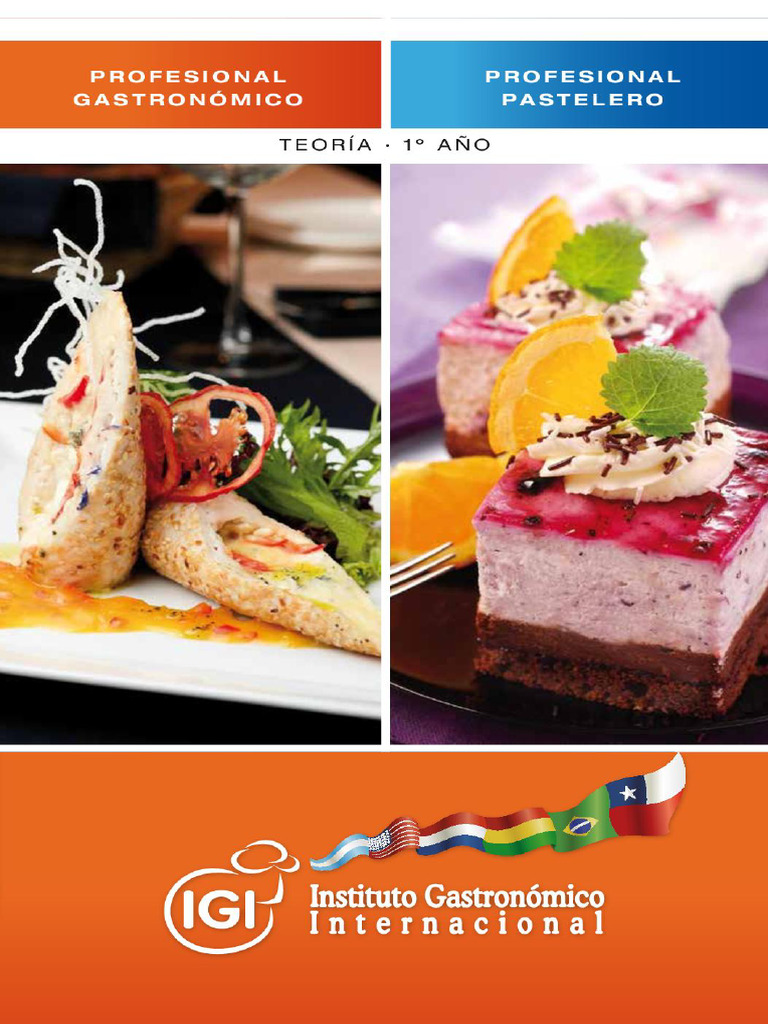 Manual Chef Teoria 1er Año | PDF