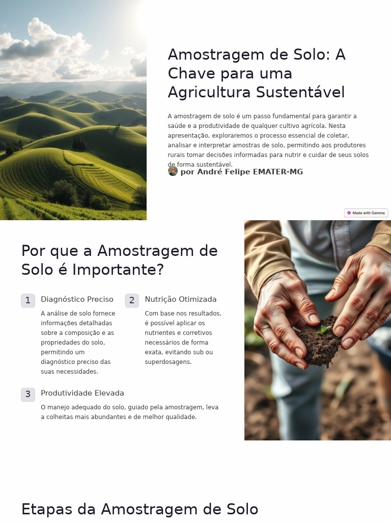 Amostragem de Solo A Chave para Uma Agricultura Sustentavel | PDF | Solo | Amostragem (Estatística)