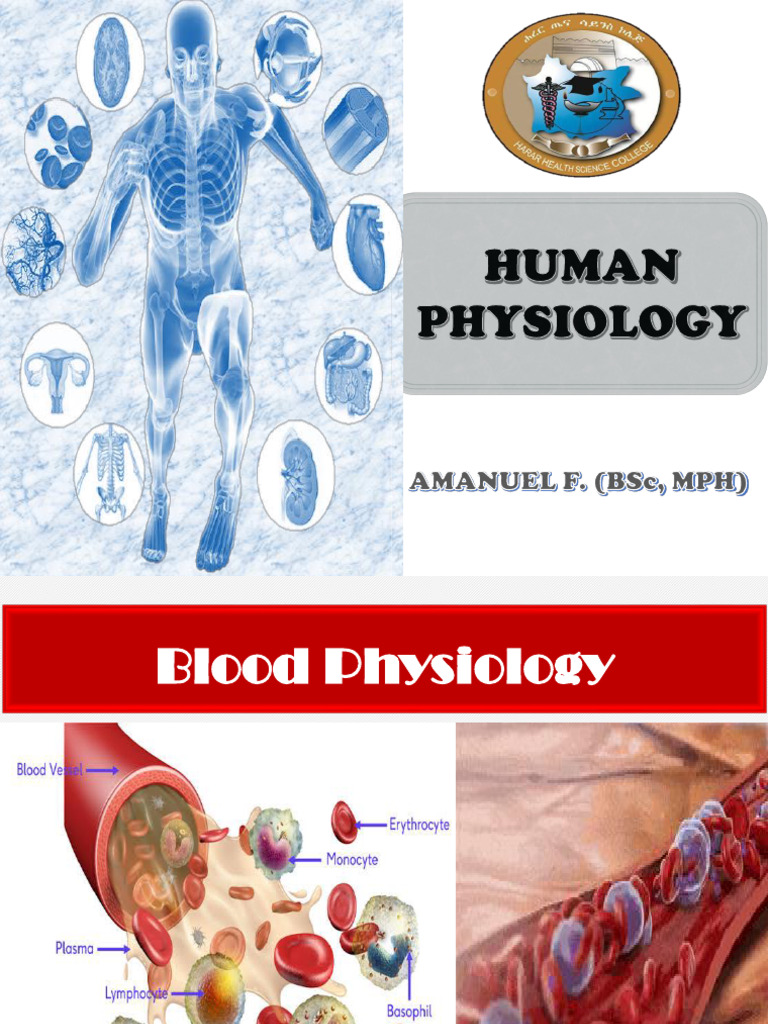 Blood Physiology Overview and Disorders | PDF | Coagulation | White ...