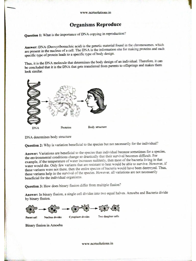 Document 193-24-11 | PDF