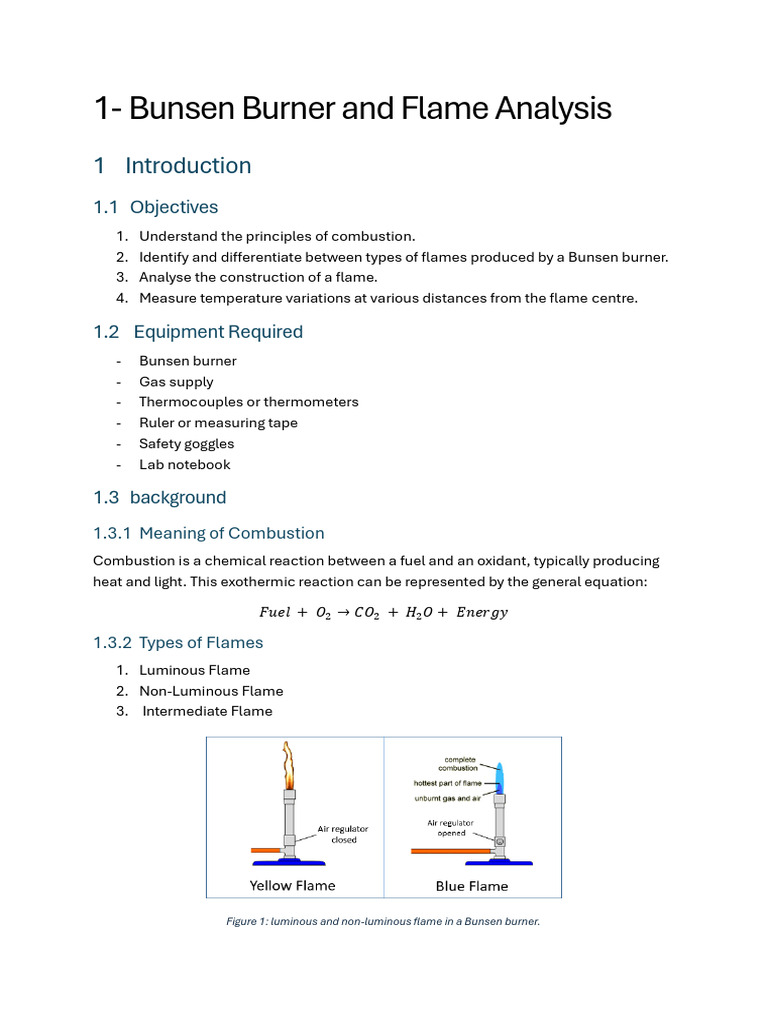 Bunsen Burner Flame Analysis Guide | PDF | Combustion | Energy Technology