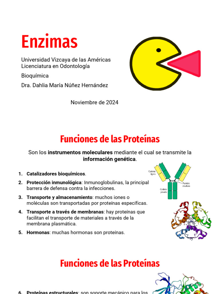 Enzimas | PDF | Enzima | Proteínas