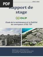 Organigramme Ocp Nouveau | PDF | Maroc | Business