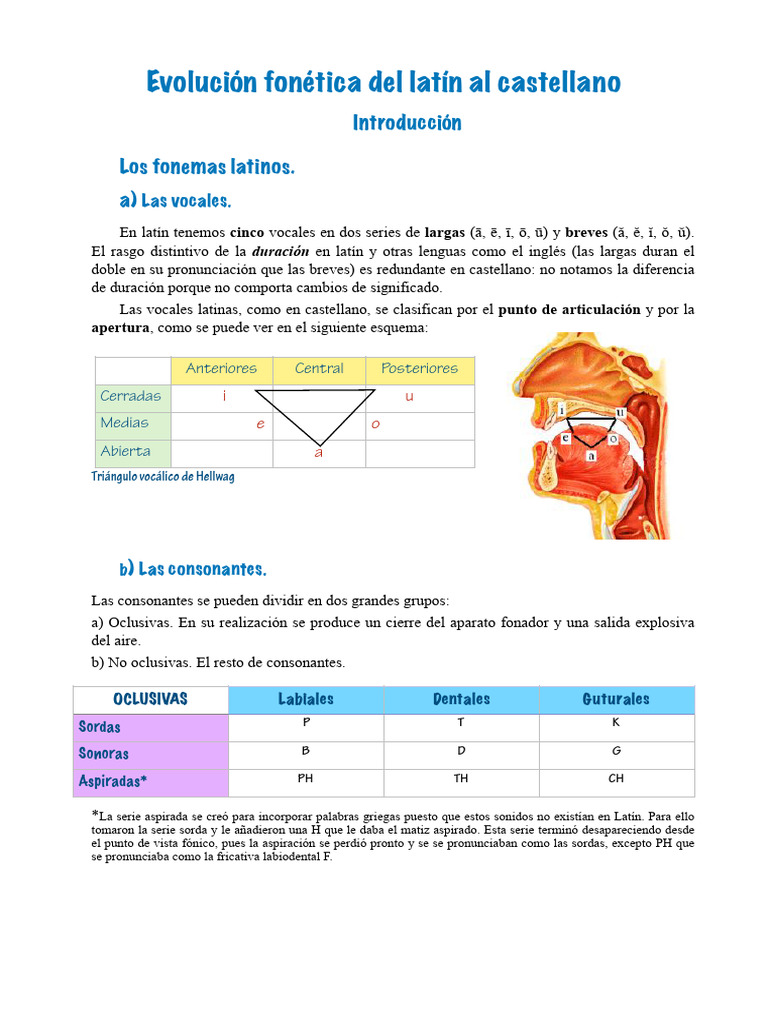 Evolución de la fonética latina al español | PDF | latín | Lingüística