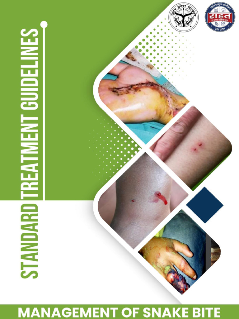 Draft Module Standard Treatment Guideline Snake Bite - v2 | PDF | Medical Specialties | Clinical ...