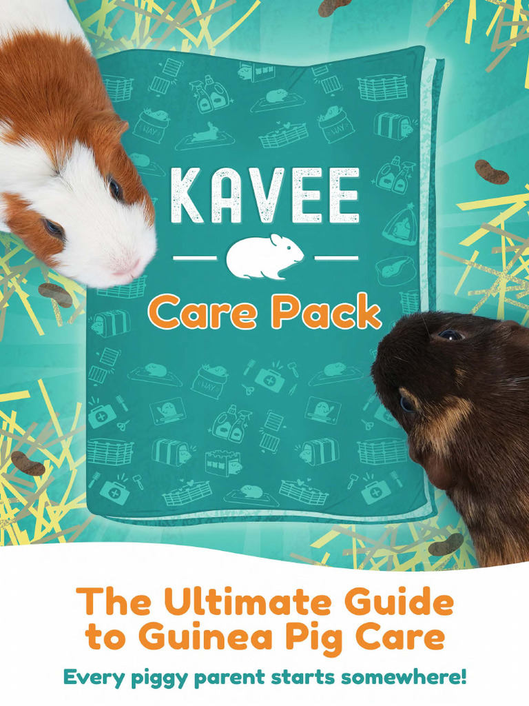 Kavee Pack | PDF